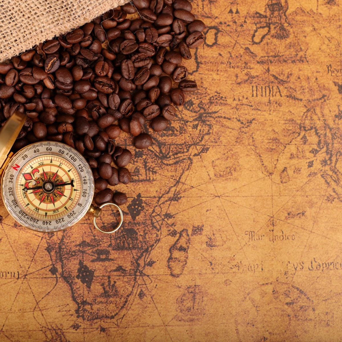 Exploring the First Century of Coffee – Sumato Coffee